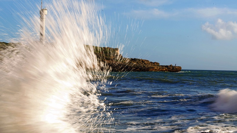Nova aquicultura prevê ocupar 40 hectares no mar do Algarve - Algarve ...