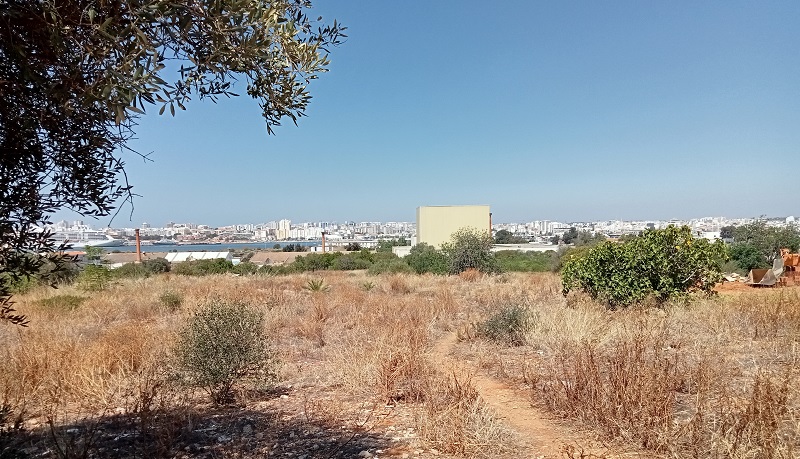 Construção de parque urbano avança no Parchal - Algarve Marafado
