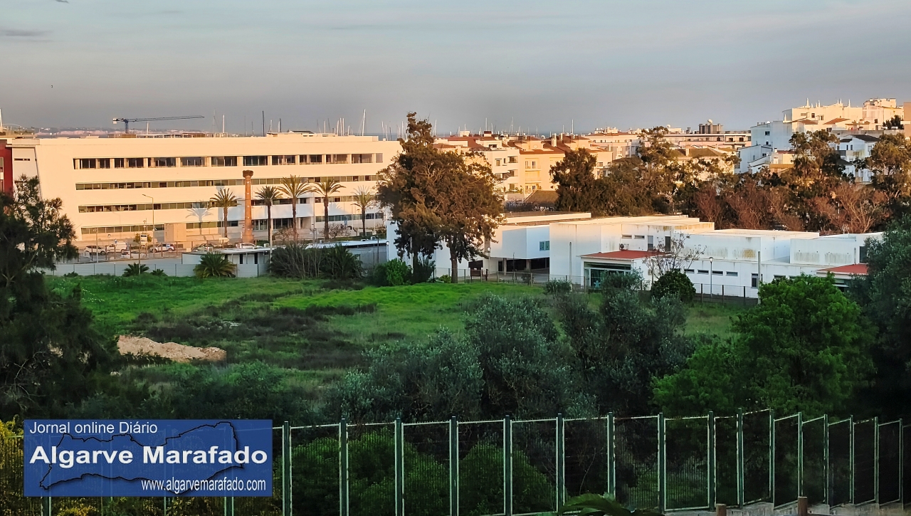 Projeto de criação de parque verde no centro de Lagos mobiliza mais de ...